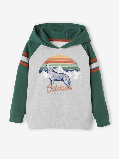 Sweat garçon enfant - Sportswears et sweat à capuche pour garçons ...